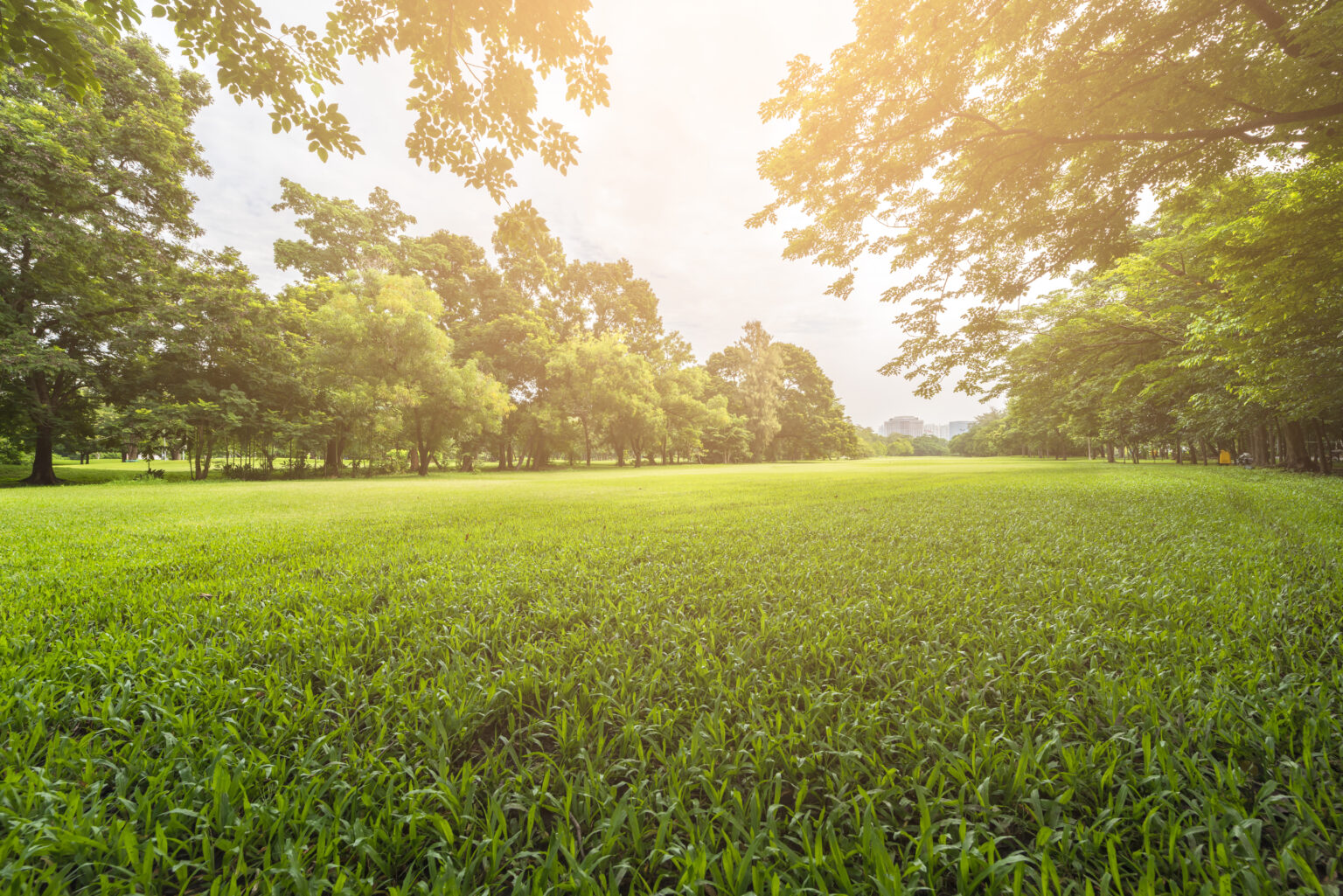 Hazel Court, Romulus MI, 48174 - Lombardo Homes